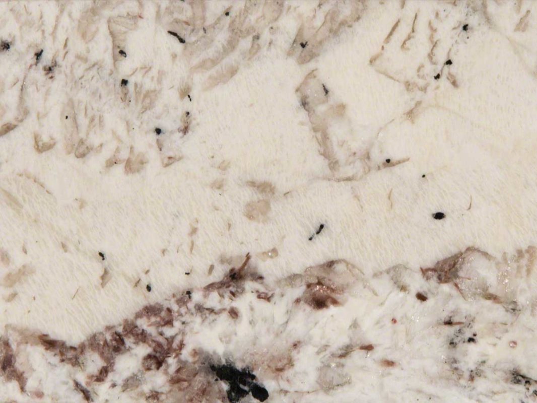 Alps White Granite – Contractor Source